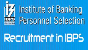 896 Posts: IBPS Specialist Officer-XIV 2024 Online Preliminary Exam Score Card Released ...