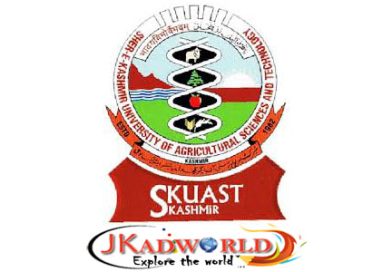 JKUpdates - Govt Private Jobs, Jammu Kashmir News, JKSSB | JK Jobs, JK ...